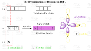 Hybridization of Atomic Orbitals - Chemistry Steps